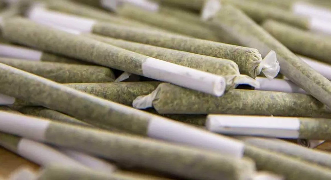 Atriz e músico geriam exportação de LSD e canábis para toda a Europa a ...