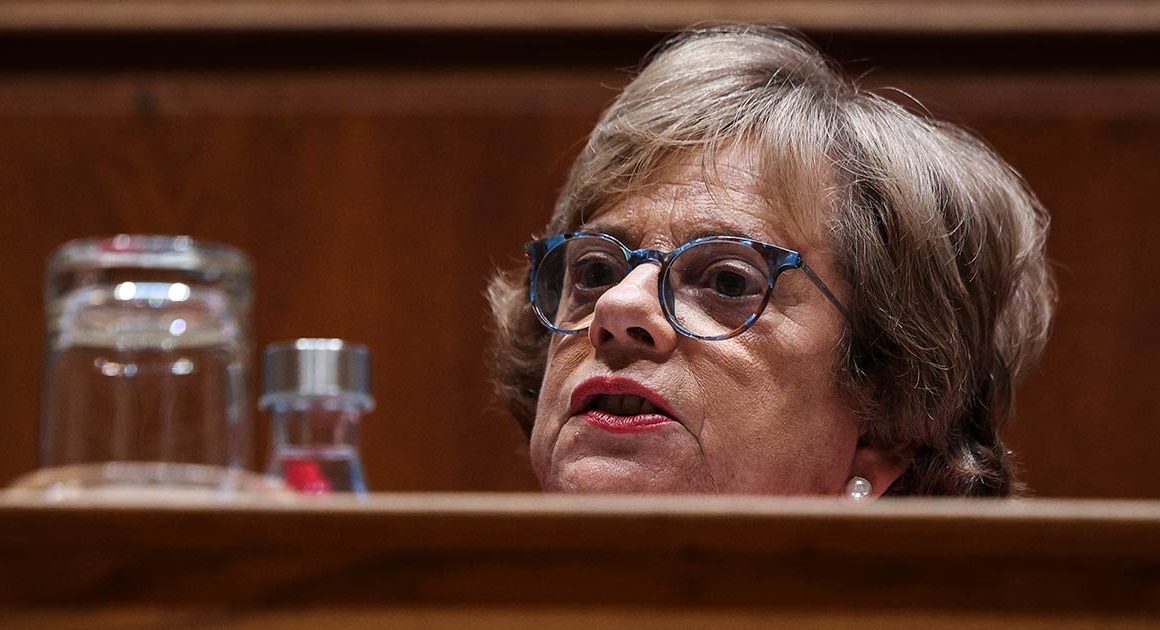 Ministra determina abertura de processos disciplinares a polícias ...