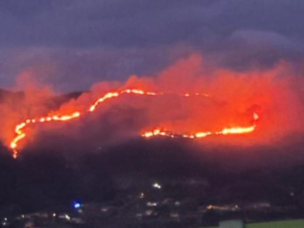 Onde comer arroz de sarrabulho em Ponte de Lima