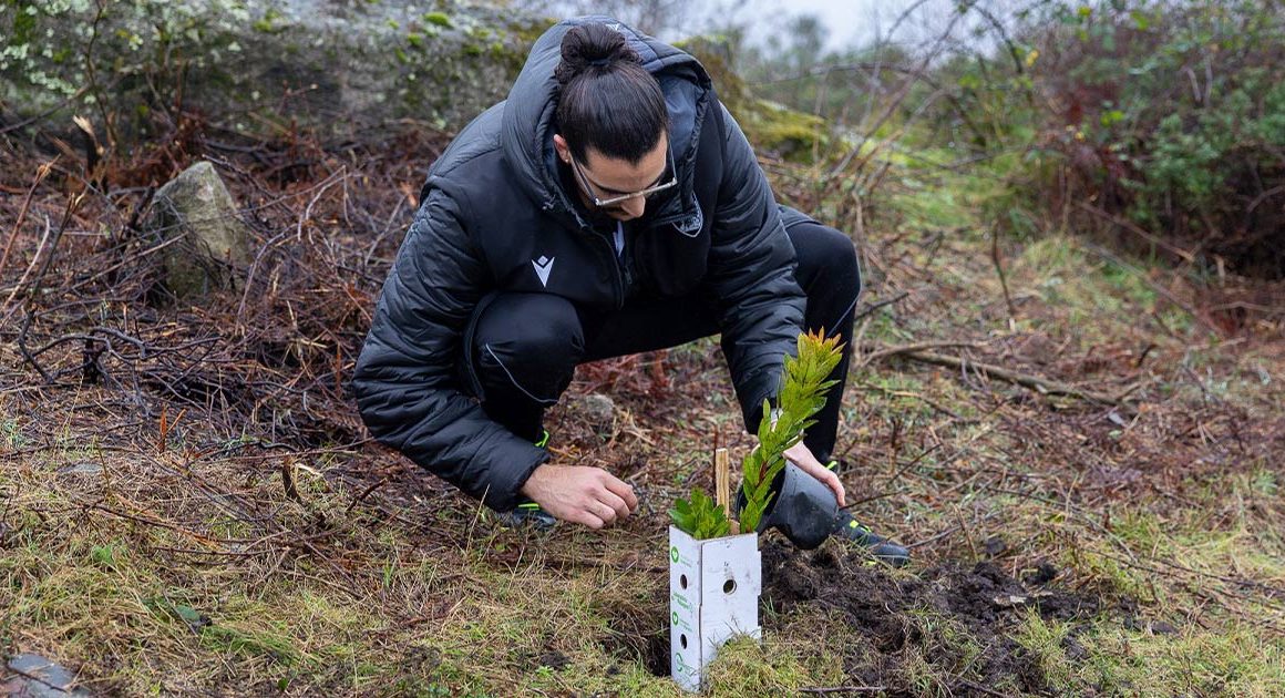 Têxtil planta 2.000 árvores em Guimarães