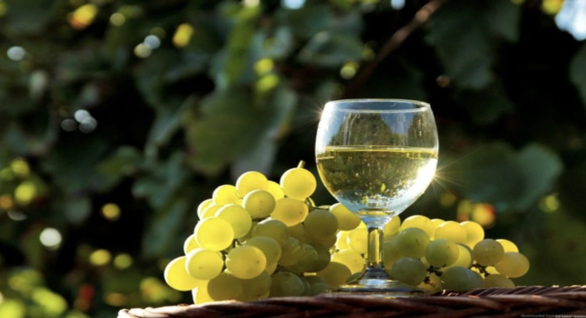 Blogue "Senhor Alvarinho" atinge degustação número 500 de vinho daquela ...