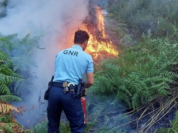 GNR deteve em quatro horas 66 condutores embriagados