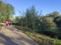 Atenção, Braga. Rua junto à UMinho vai estar cortada durante 3 semanas