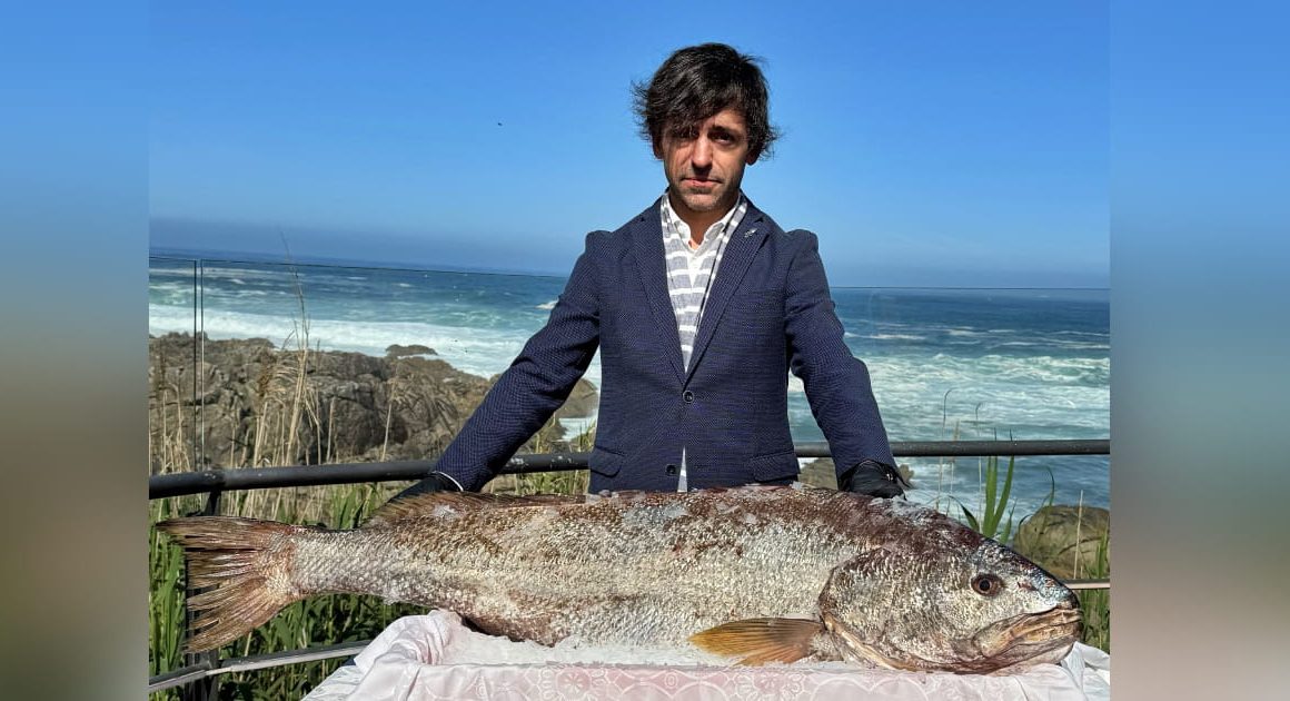 Corvina de 30 quilos pescada em Viana causa sensação em Espanha