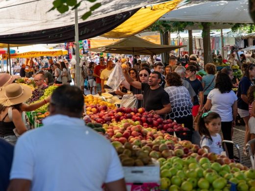 'Febre' da caderneta do Mundial: Barcelos vai ter encontro para trocar ...