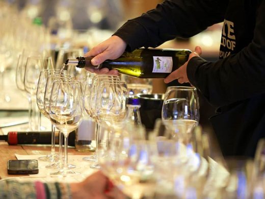 Cientistas da UMinho descobrem como dar mais alma aos vinhos do Douro